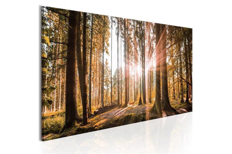 Tavla Small Natural Wonders 150x50 Artgeist sp. z o. o. - Inredning ...